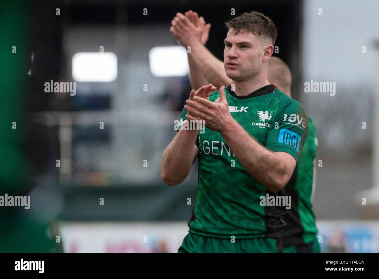 Springbok rugby fans stadium hi-res stock photography and images - Alamy