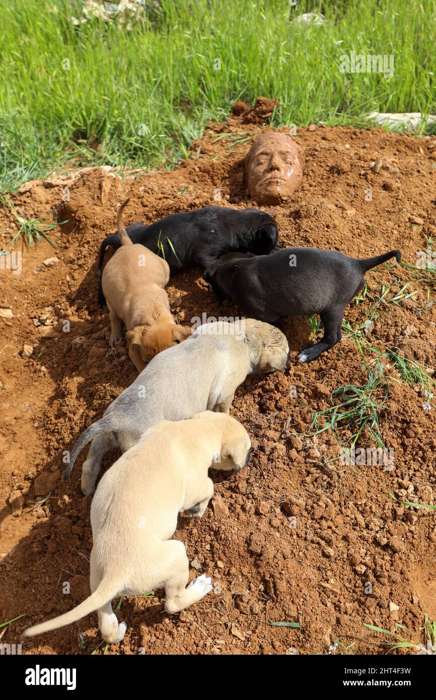 A woman buried in the ground A face covered in the ground Stock Photo ...