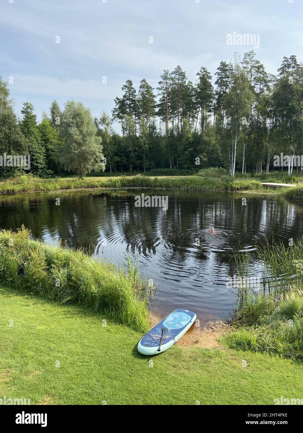Paddle board on the shore of a pond surrounded by trees Stock Photo - Alamy