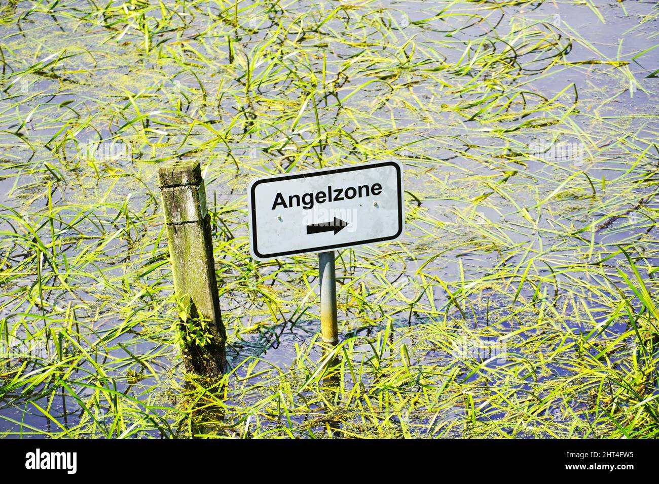 Angelzone hi-res stock photography and images - Alamy