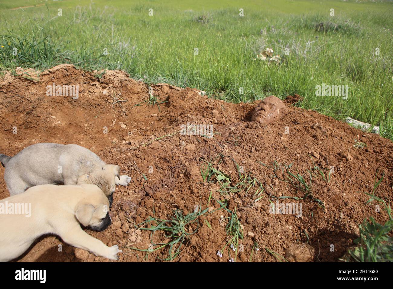 A woman buried in the ground A face covered in the ground Stock Photo ...