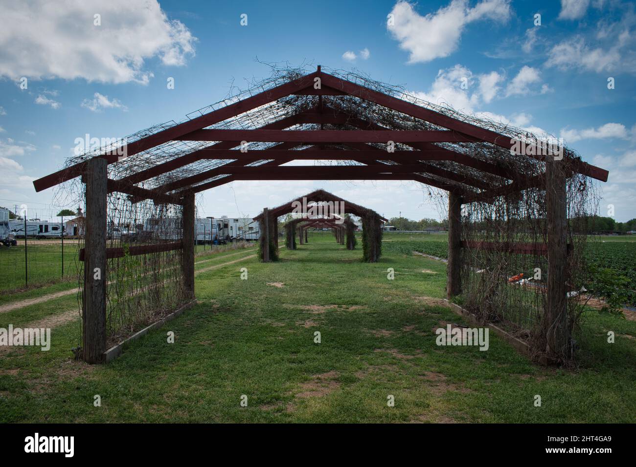 Canopy design hi-res stock photography and images - Alamy