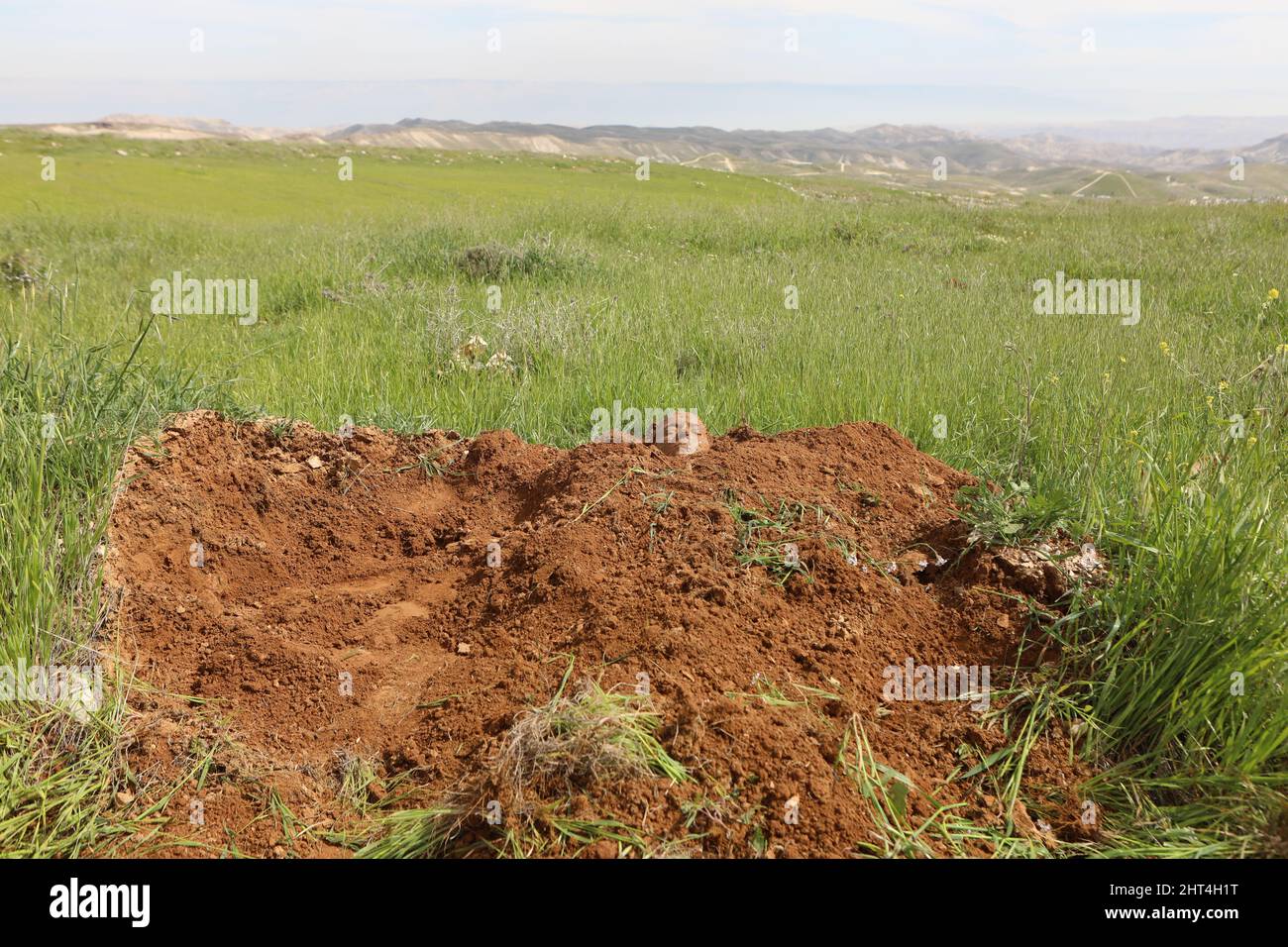 A woman buried in the ground A face covered in the ground Stock Photo ...