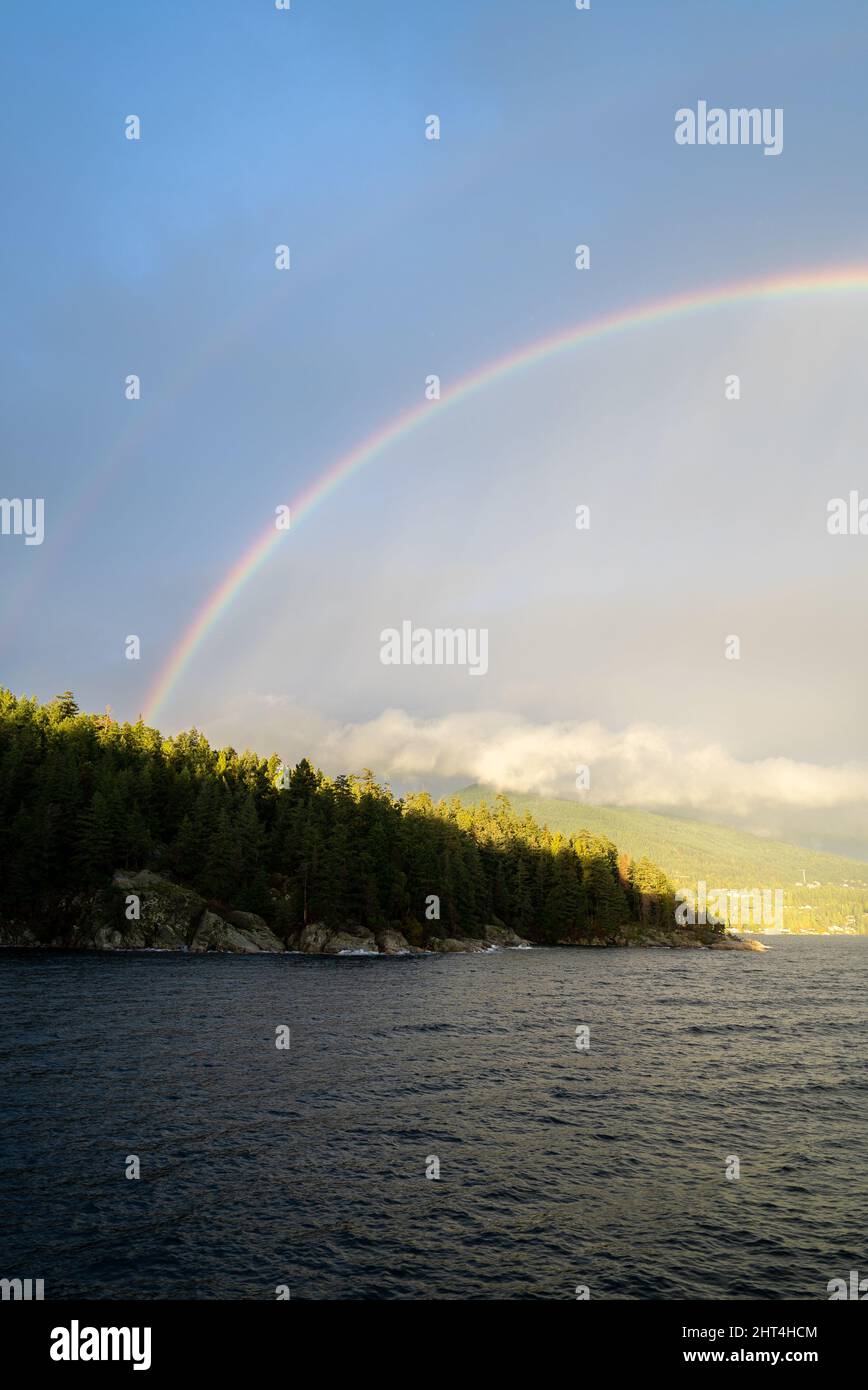Double rainbow at golden hour sunset rainbow forest trees. North ...