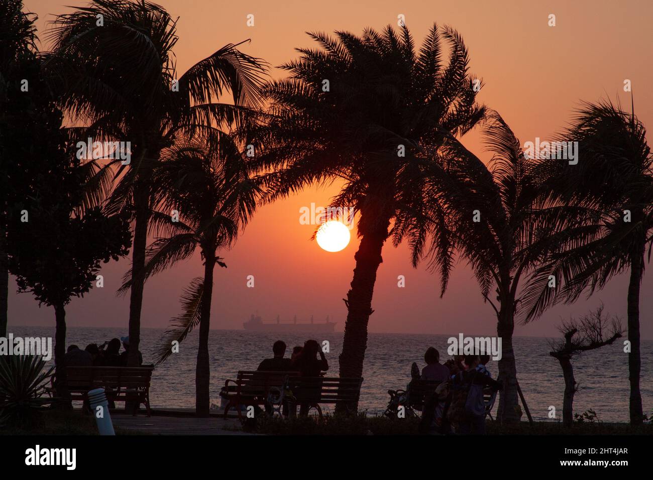 Palm trees and an ocean view at sunset in Cijin, Kaohsiung, Taiwan ...