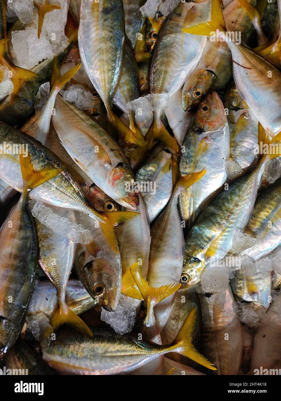 Vertical shot of fishes in a fishmarket Stock Photo - Alamy