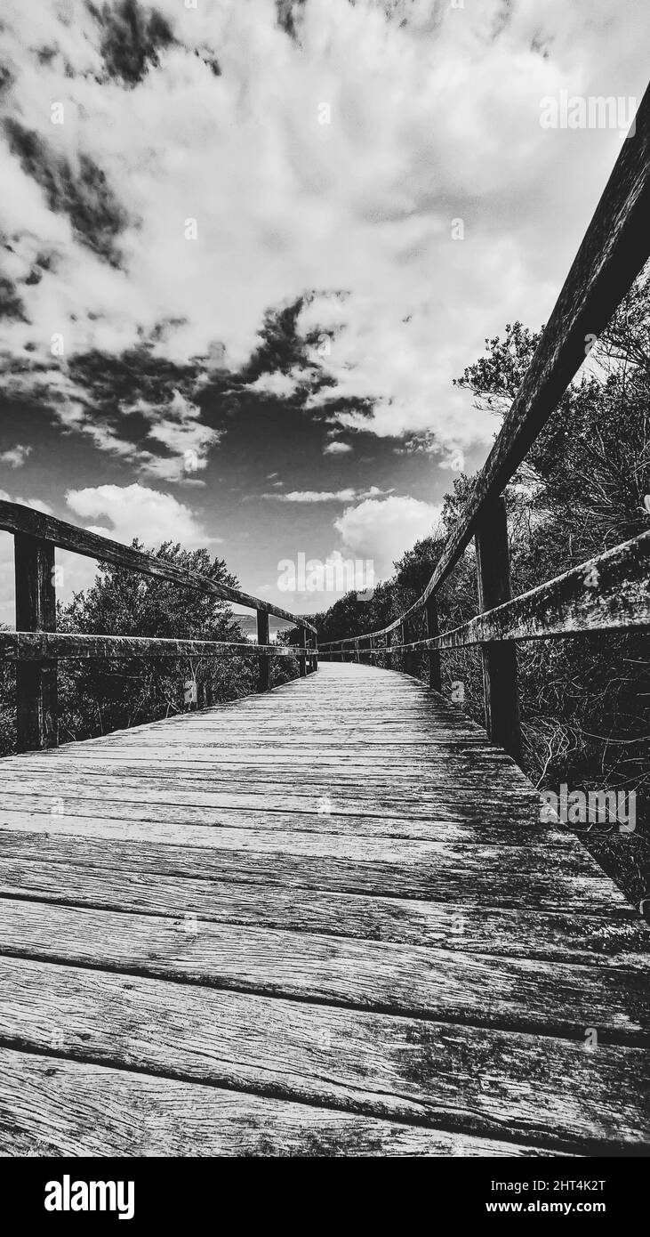 Vertical greyscale shot of a wooden bridge in nature - the concept of ...