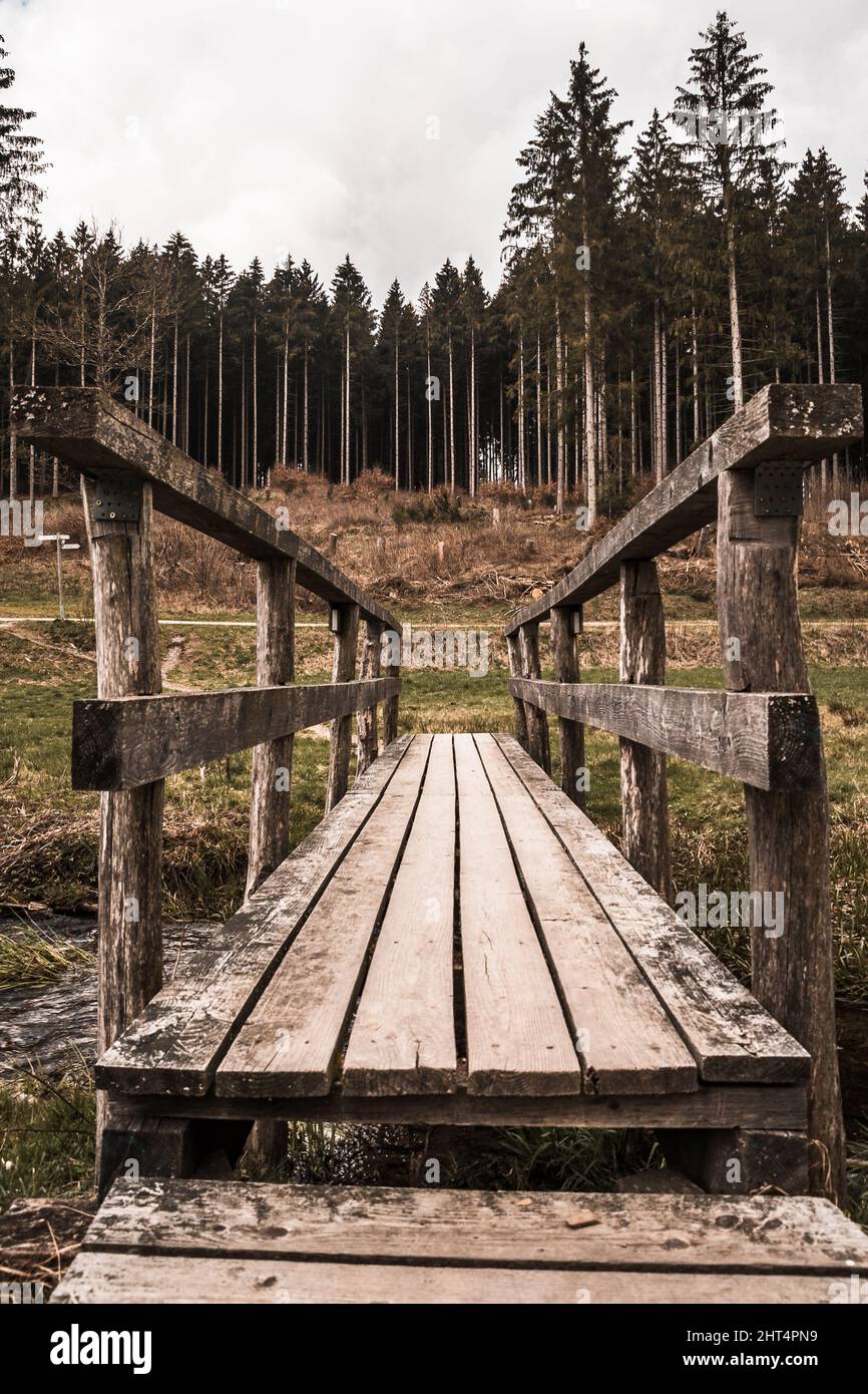 Bridge in a forest hi-res stock photography and images - Alamy