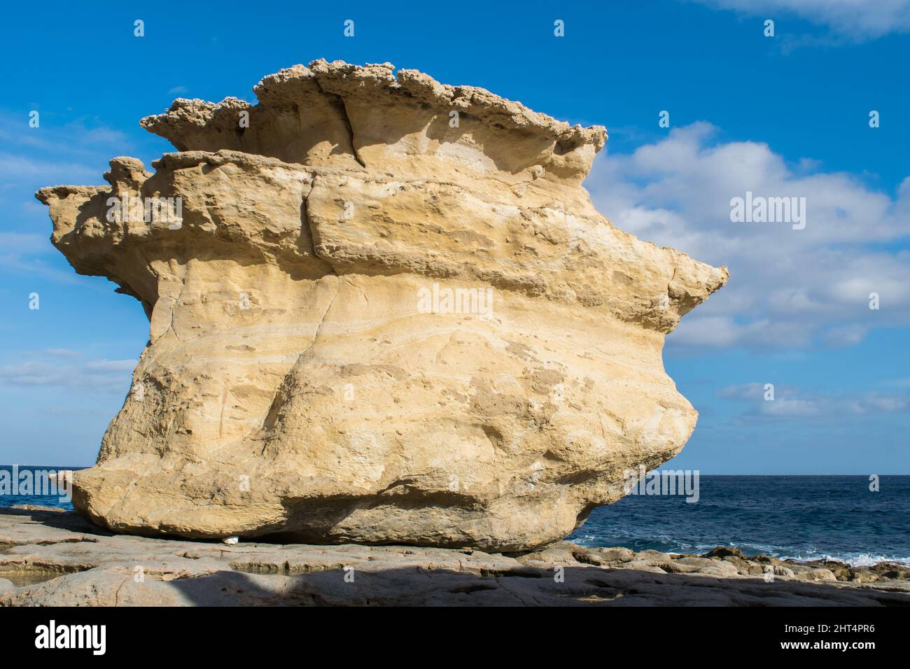 Large globigerina limestone boulder on wave-cut platform along the ...