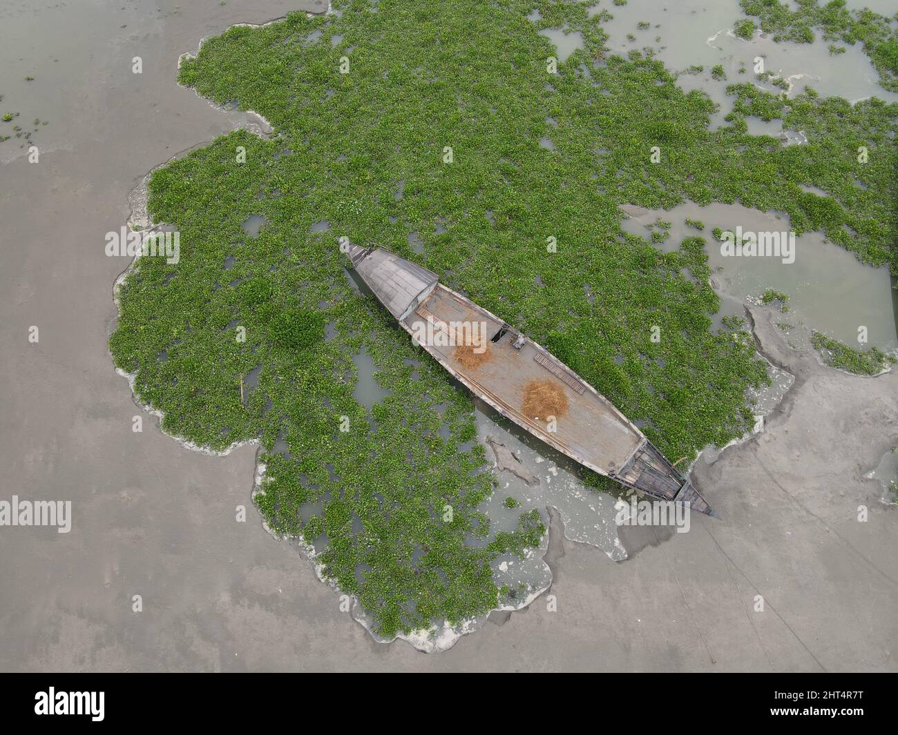 Top view of a kayak on mossy water surface Stock Photo - Alamy