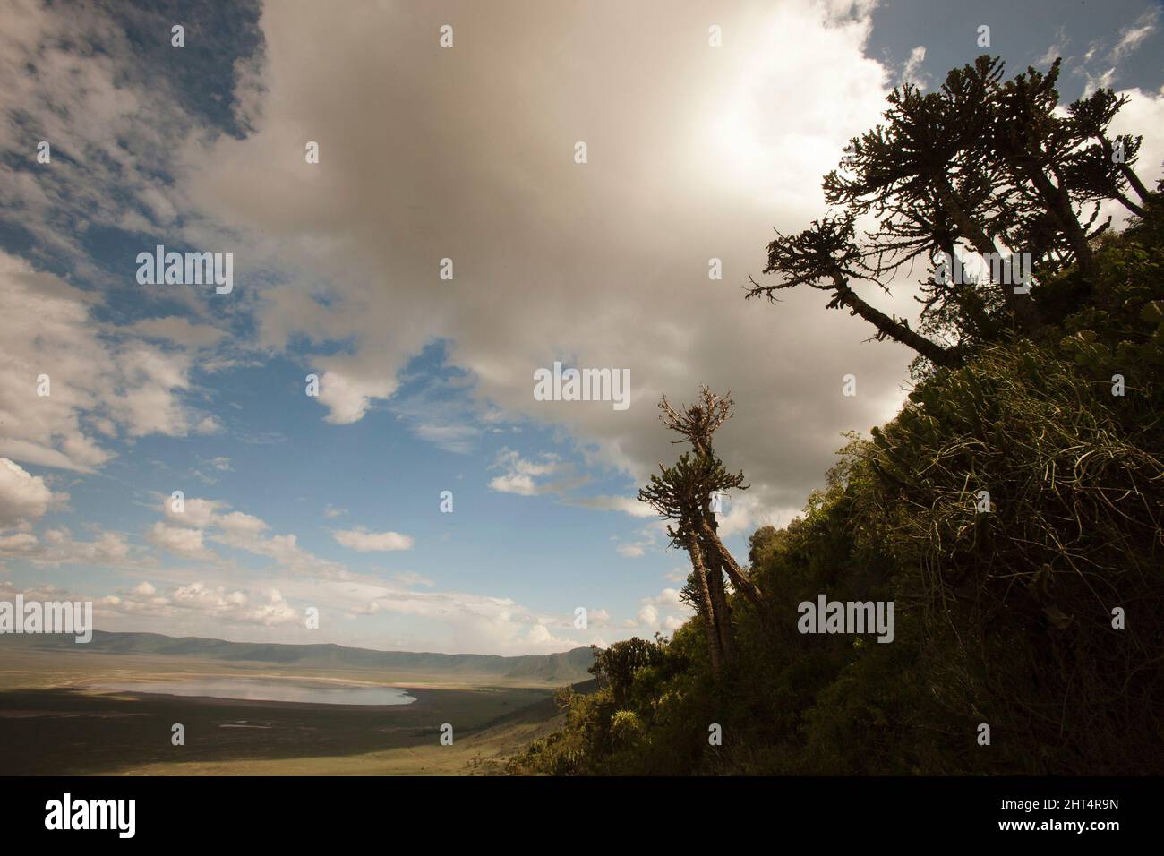 Ngorongoro Crater, caldera of an extinct volcano about 20 km across ...