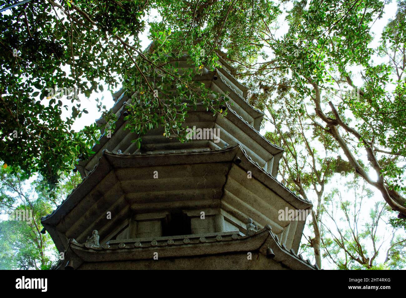 Buddhist Temple through tree branches in Naha City, Okinawa Japan Stock ...