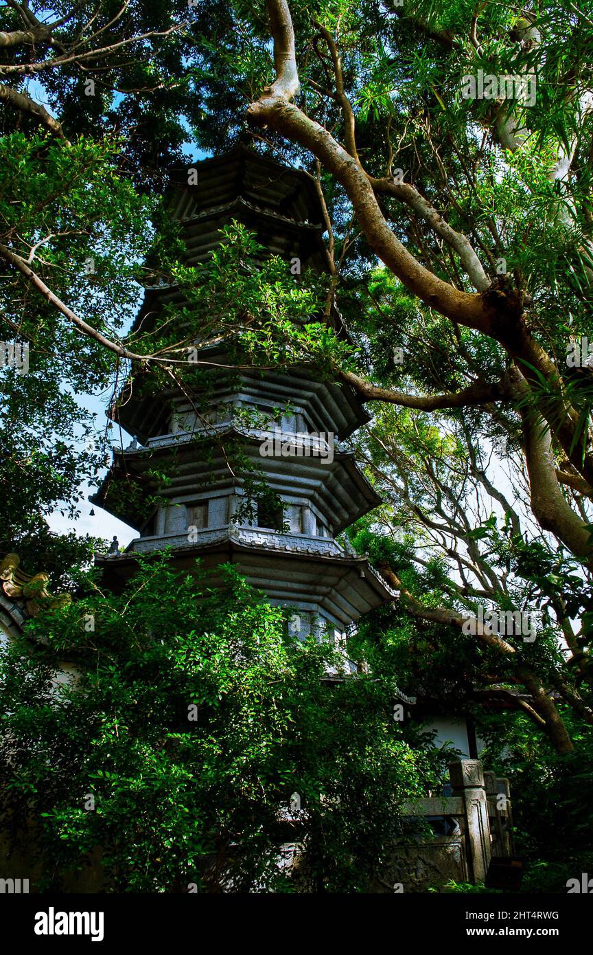 Vertical shot of the Buddhist Temple through trees in Naha City ...