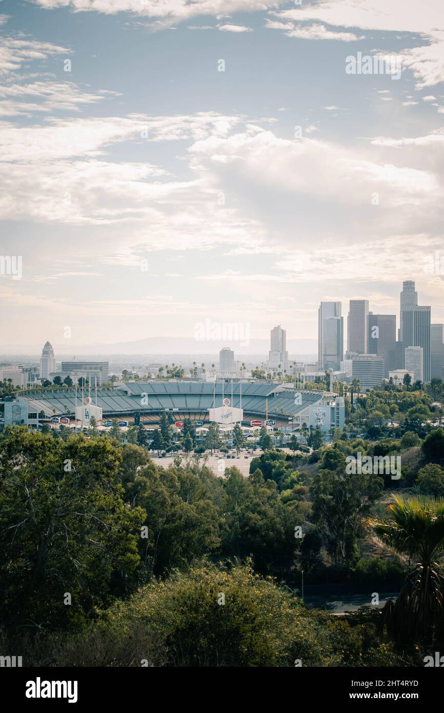 A vertical shot of the Dodgers Stadium from Elysian Park Stock Photo ...