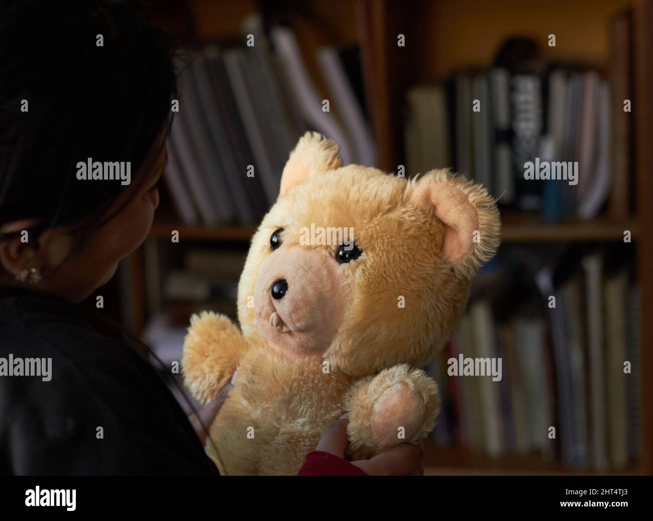 Closeup shot of a teddy bear toy in the hands of a female looking at it ...