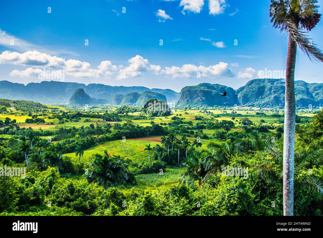 Cuba landscape hi-res stock photography and images - Alamy