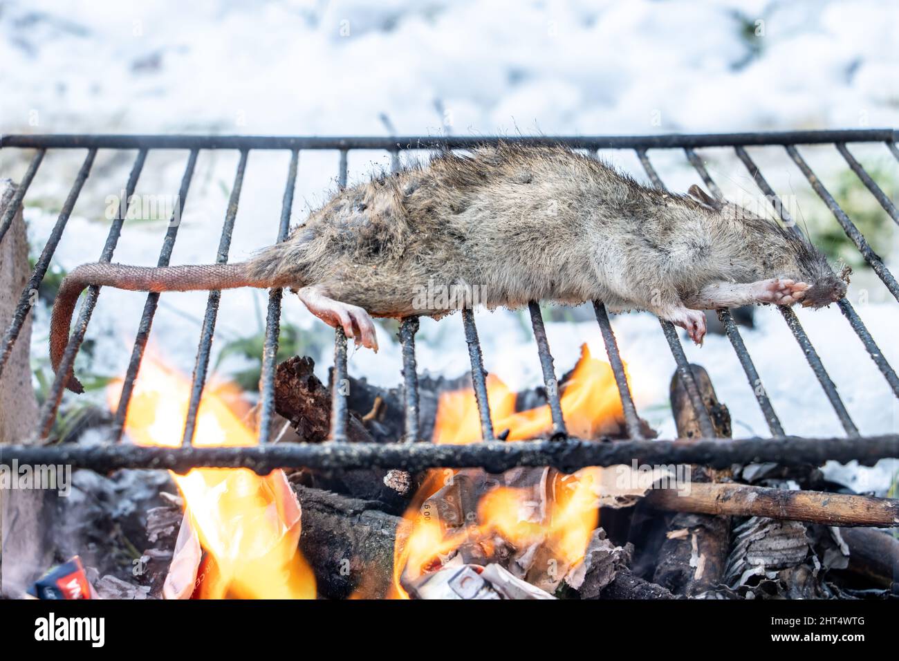A rat over a fire is grilled on the grate in a snowy landscape, close ...