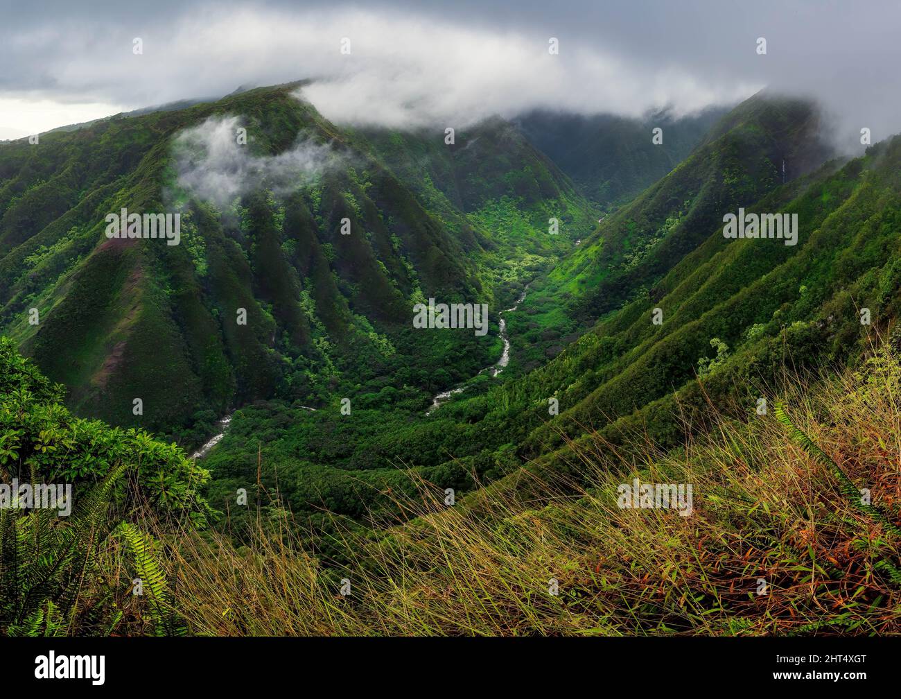 Aerial view of green hills and valleys in Maui, Hawaii Stock Photo - Alamy