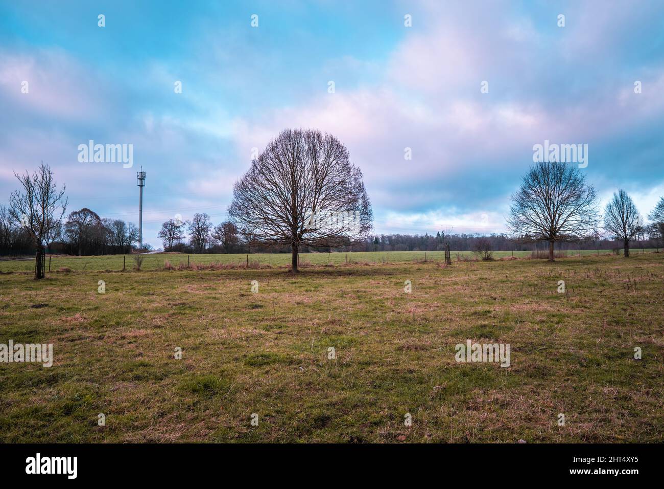 Beautiful view landscape large hi-res stock photography and images - Alamy