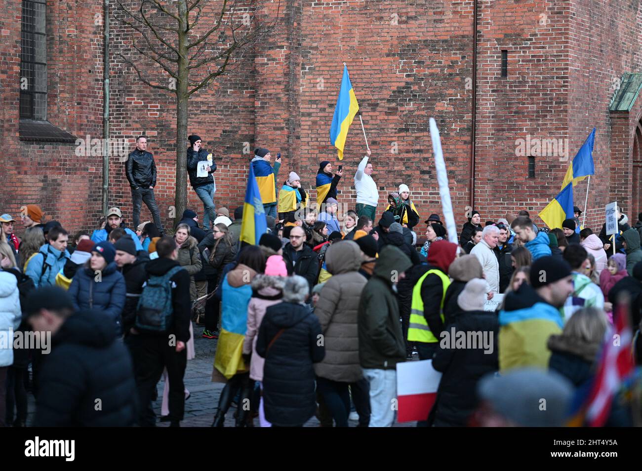 Crowd of people protesting against the Russian invasion of Ukraine ...