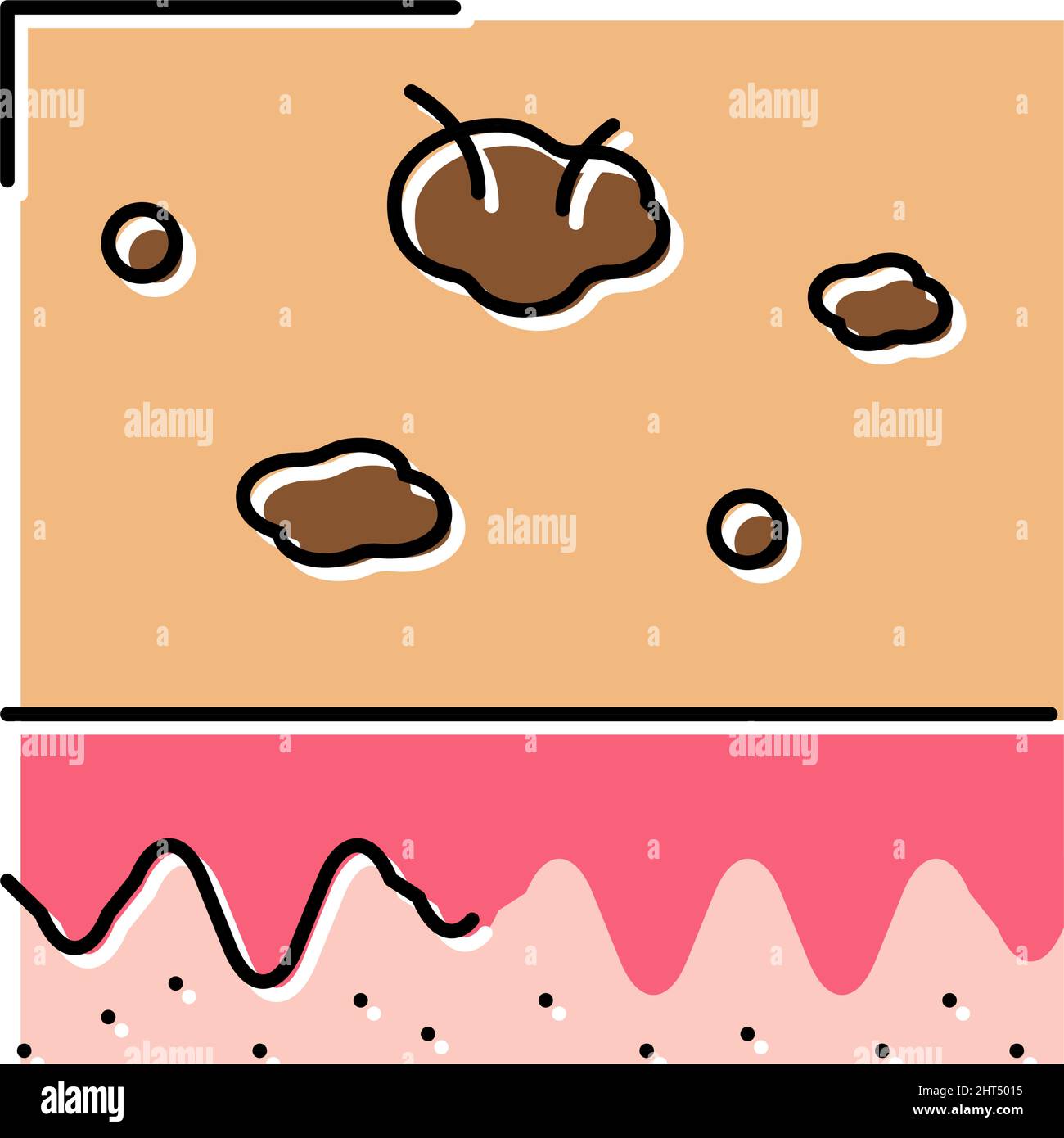 moles skin color icon vector illustration Stock Vector Image & Art - Alamy