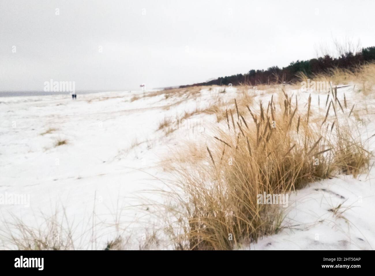 Freezing beach hi-res stock photography and images - Alamy