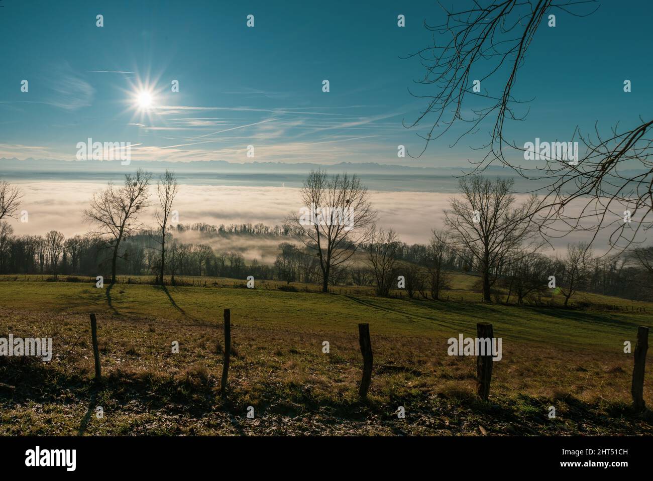 Scenic view of trees in a rural area on blue sky background in Nova ...