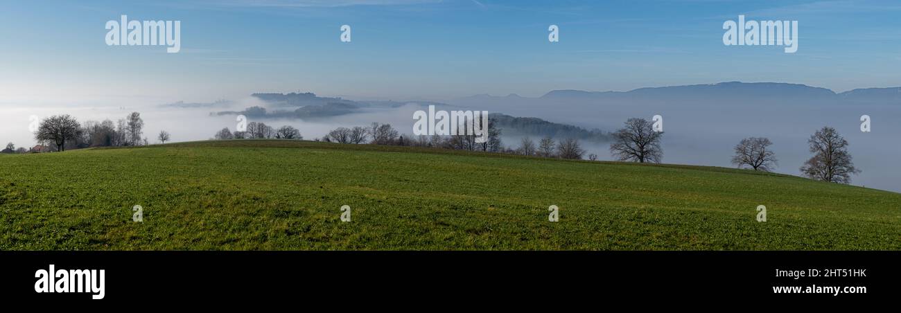 A friburgo hi-res stock photography and images - Alamy