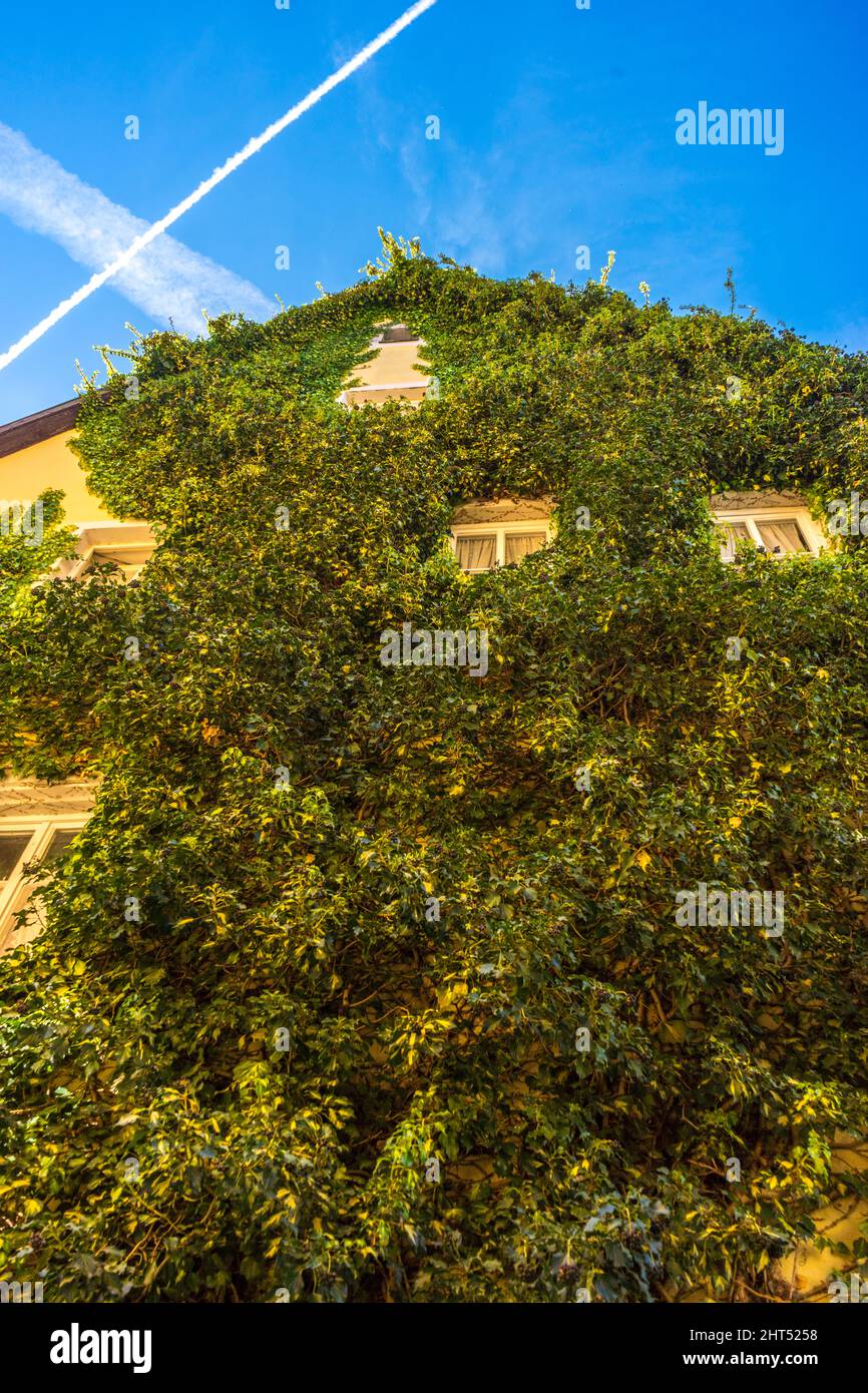 Beautiful view of old historic buildings covered in plants in a town in ...