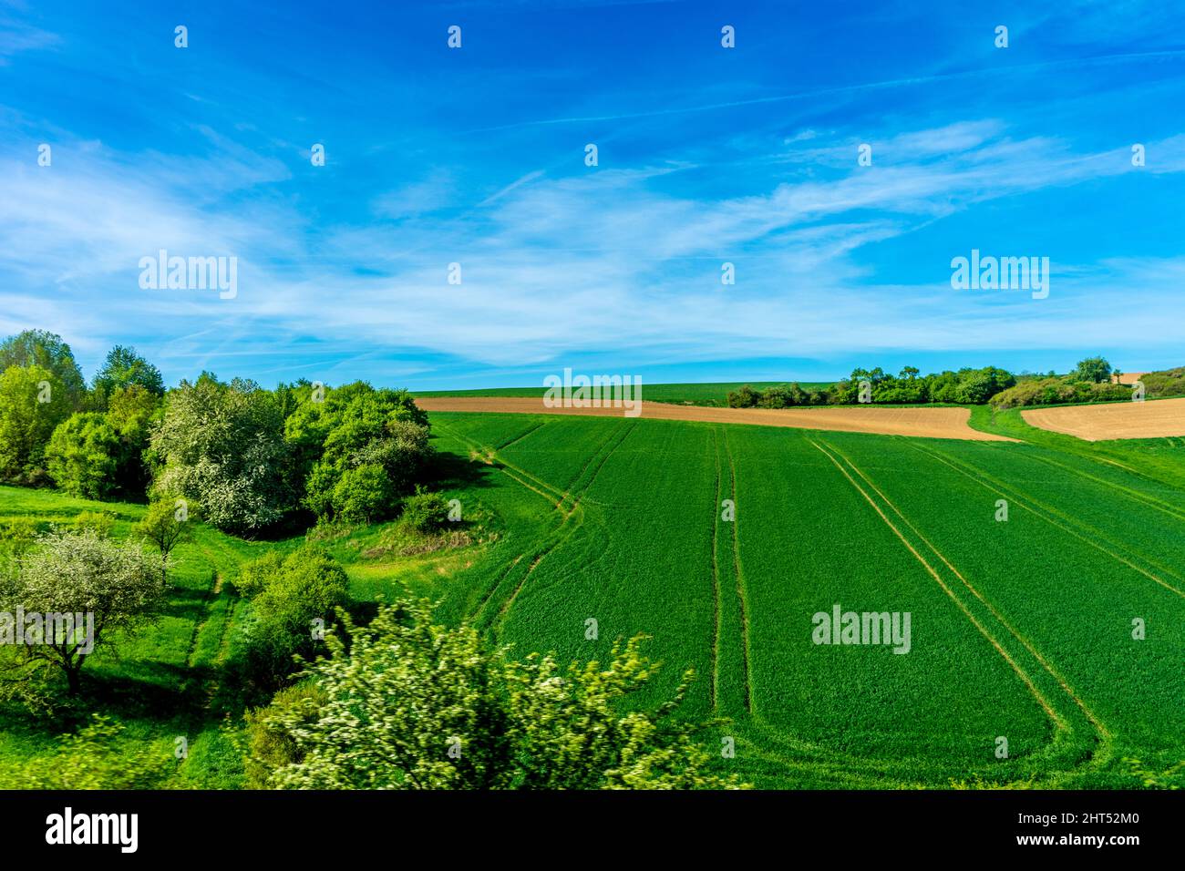 Landscape of farm field crops covered in greenery under the sunlight in ...