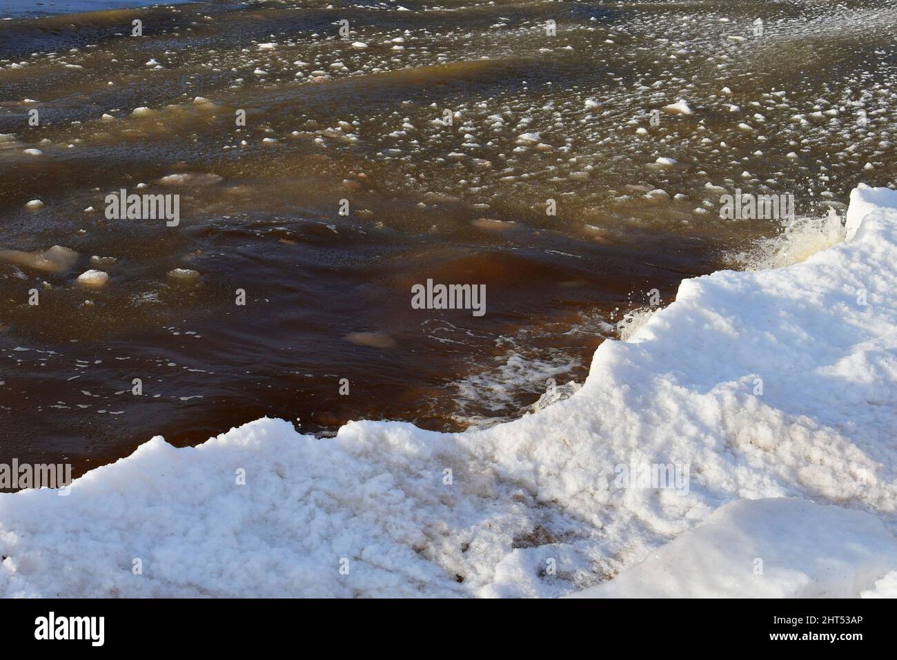 Photo of salt formation on a sea shore Stock Photo - Alamy