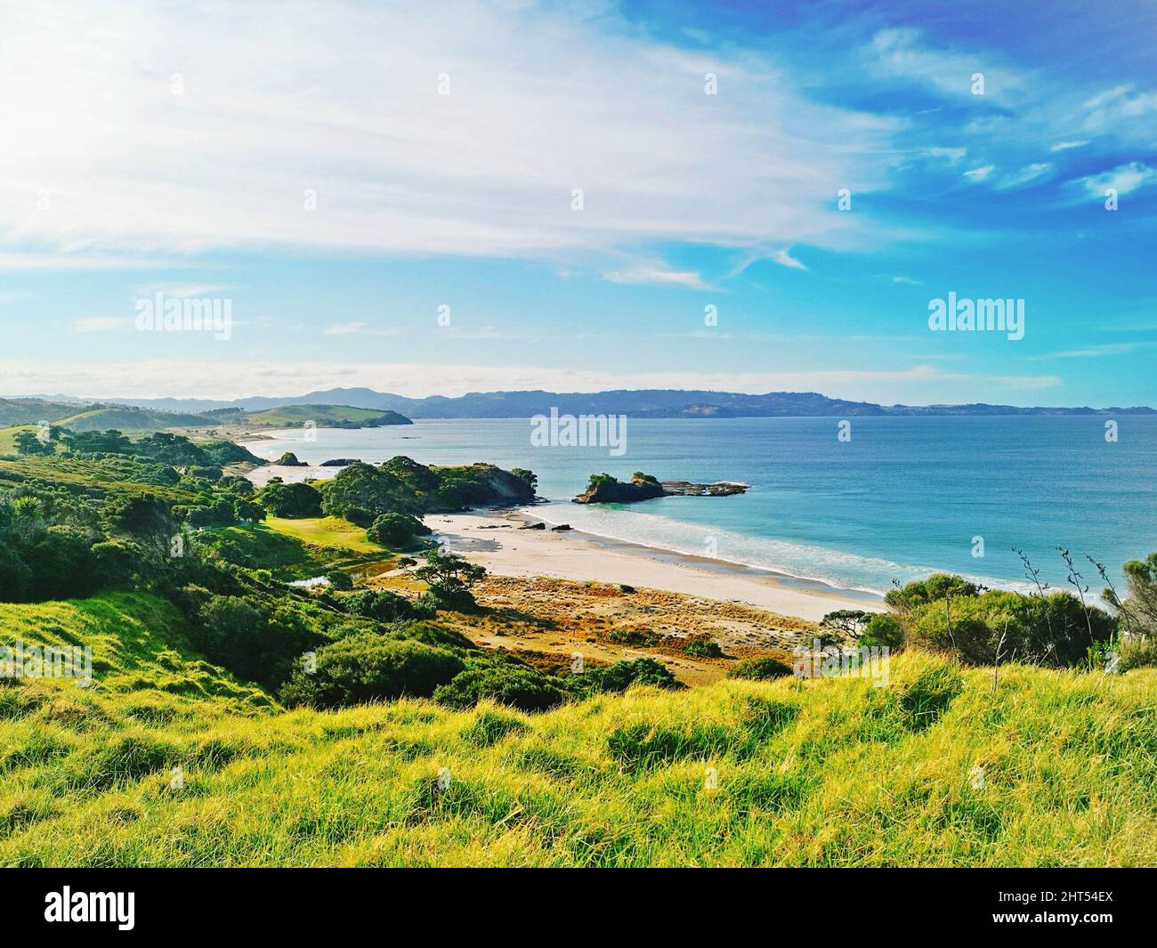 Beautiful view of the Anchor Bay sunny beach in Auckland, New Zealand ...
