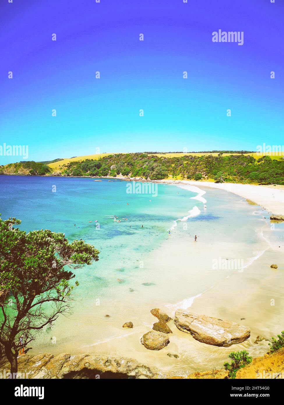 Anchor bay beach auckland hi-res stock photography and images - Alamy