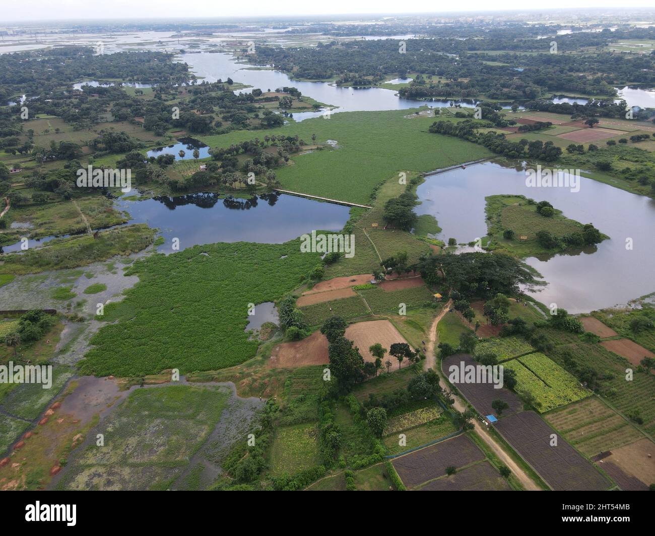 Aerial view of the agricultural fields with green trees and a small ...