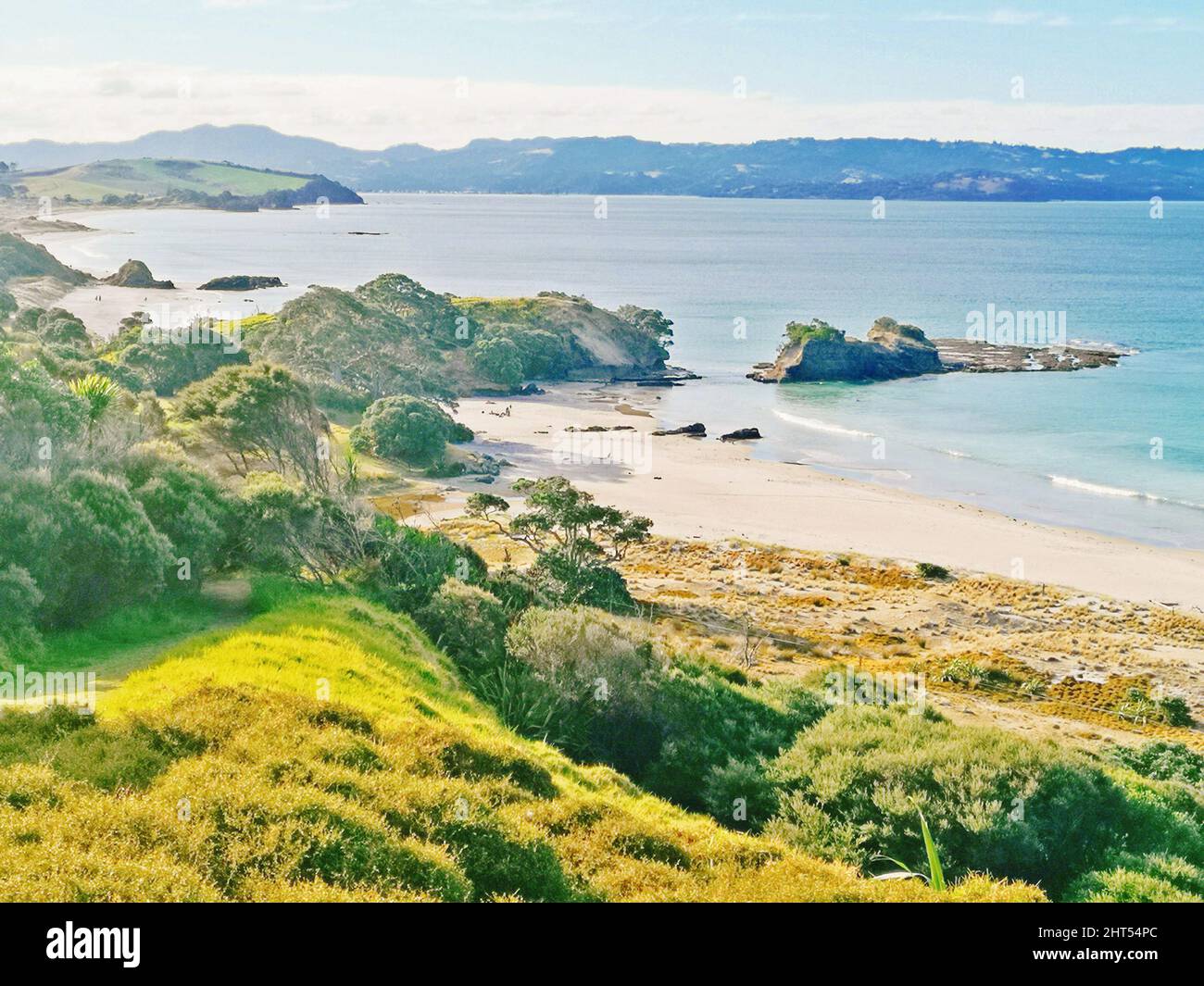 Anchor bay beach auckland hi-res stock photography and images - Alamy