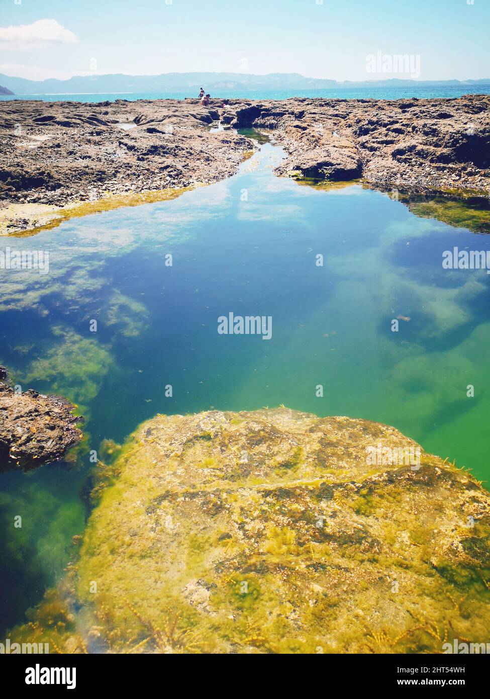 Vertical shot of natural rock pools of the Anchor Bay in Auckland, New ...