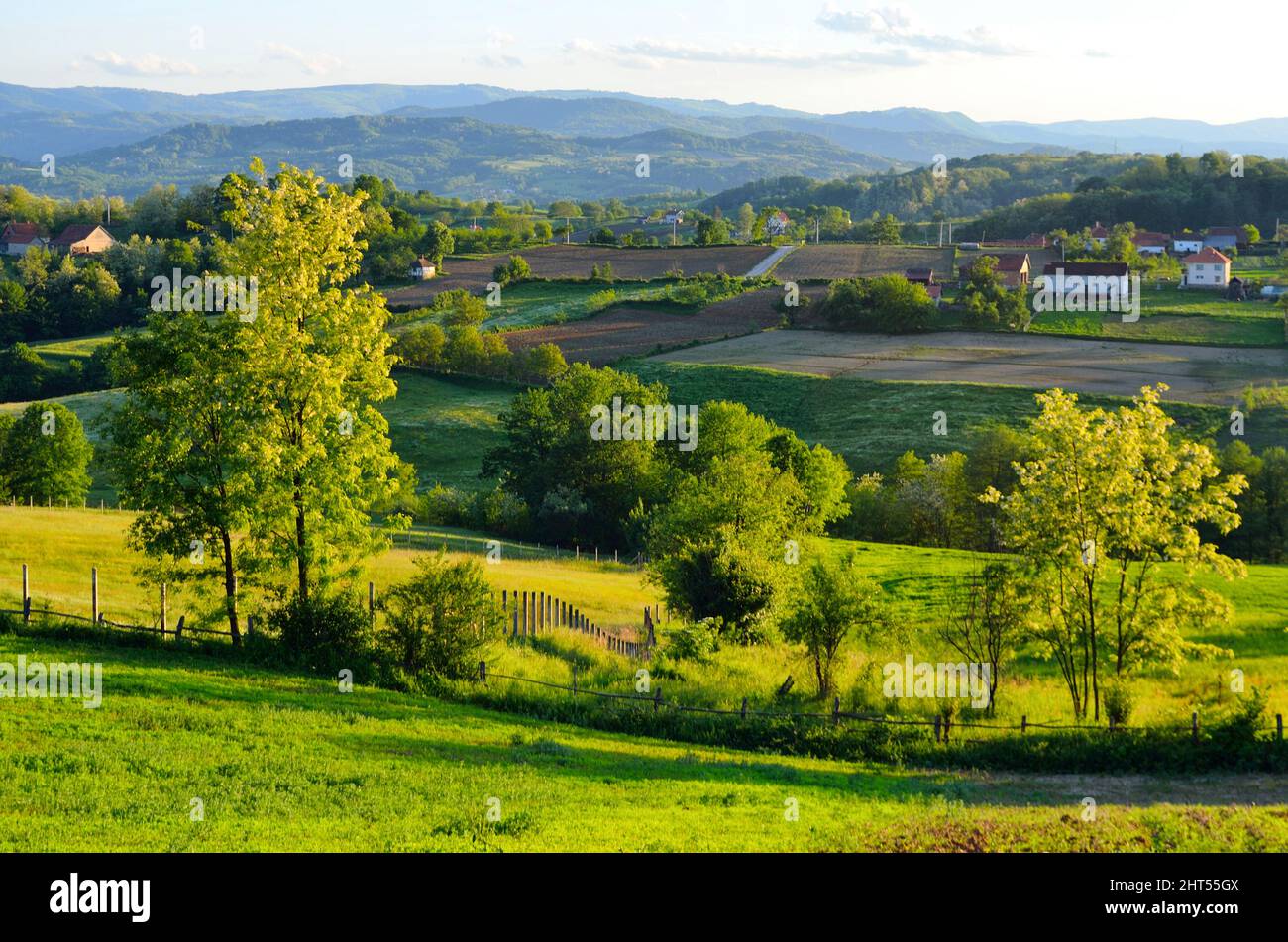 Landscape of trees with greenery on a hilly terrain Stock Photo - Alamy