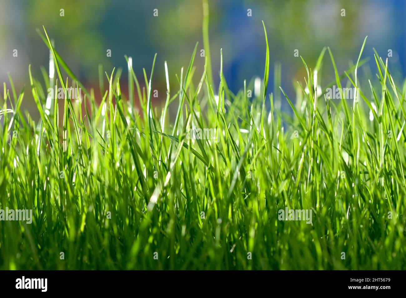 Wet parcel hi-res stock photography and images - Alamy