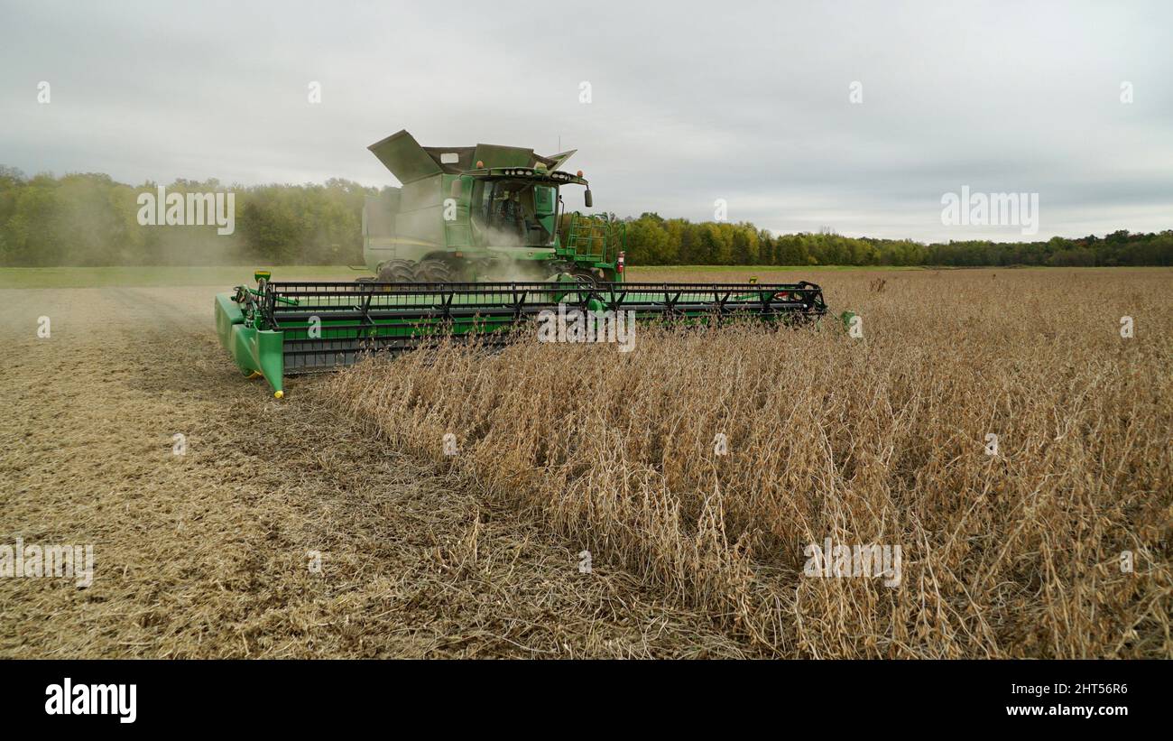 Farmer combining soybeans in a field in rural Missouri Stock Photo - Alamy