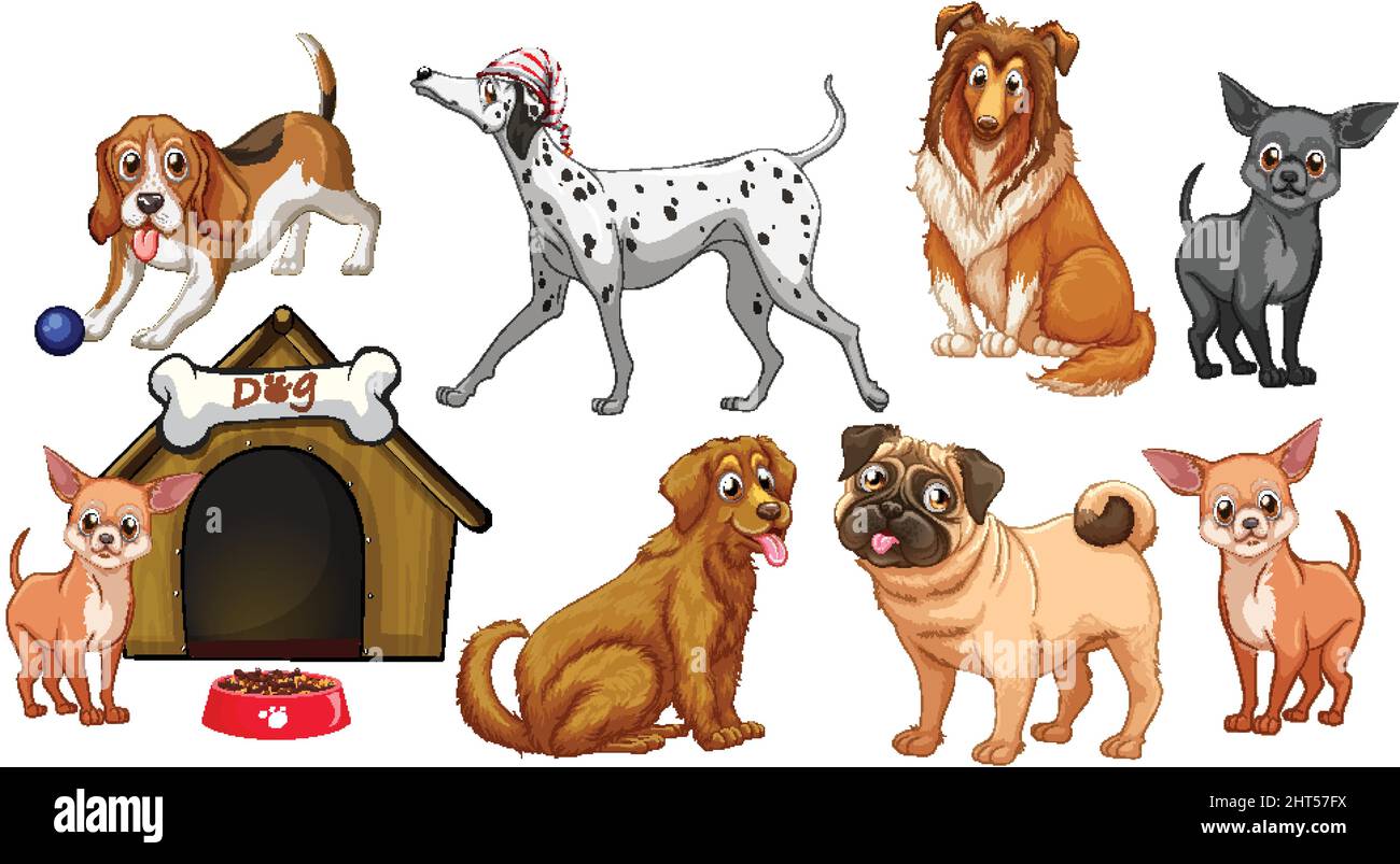 Different dog breeds in cartoon style illustration Stock Vector Image ...