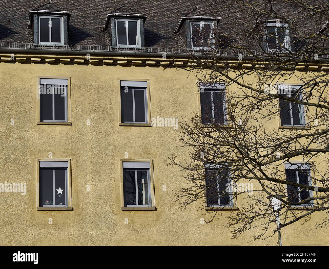 Building facade and dormer windows with autumn tree branch Stock Photo - Alamy