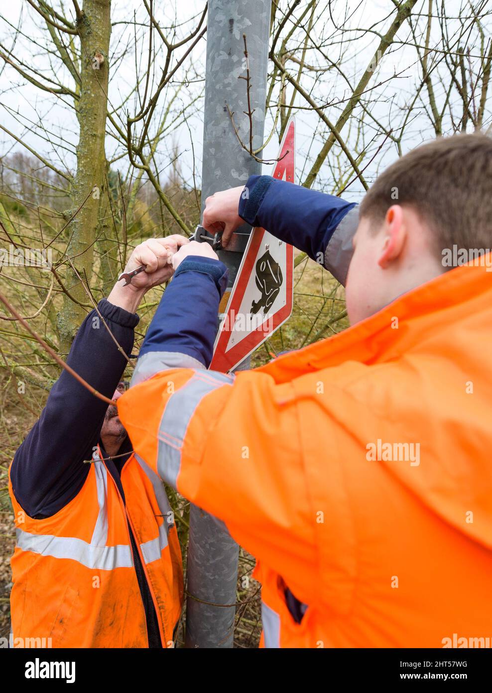 Uelzen, Germany. 24th Feb, 2022. City employees hang a sign about the ...