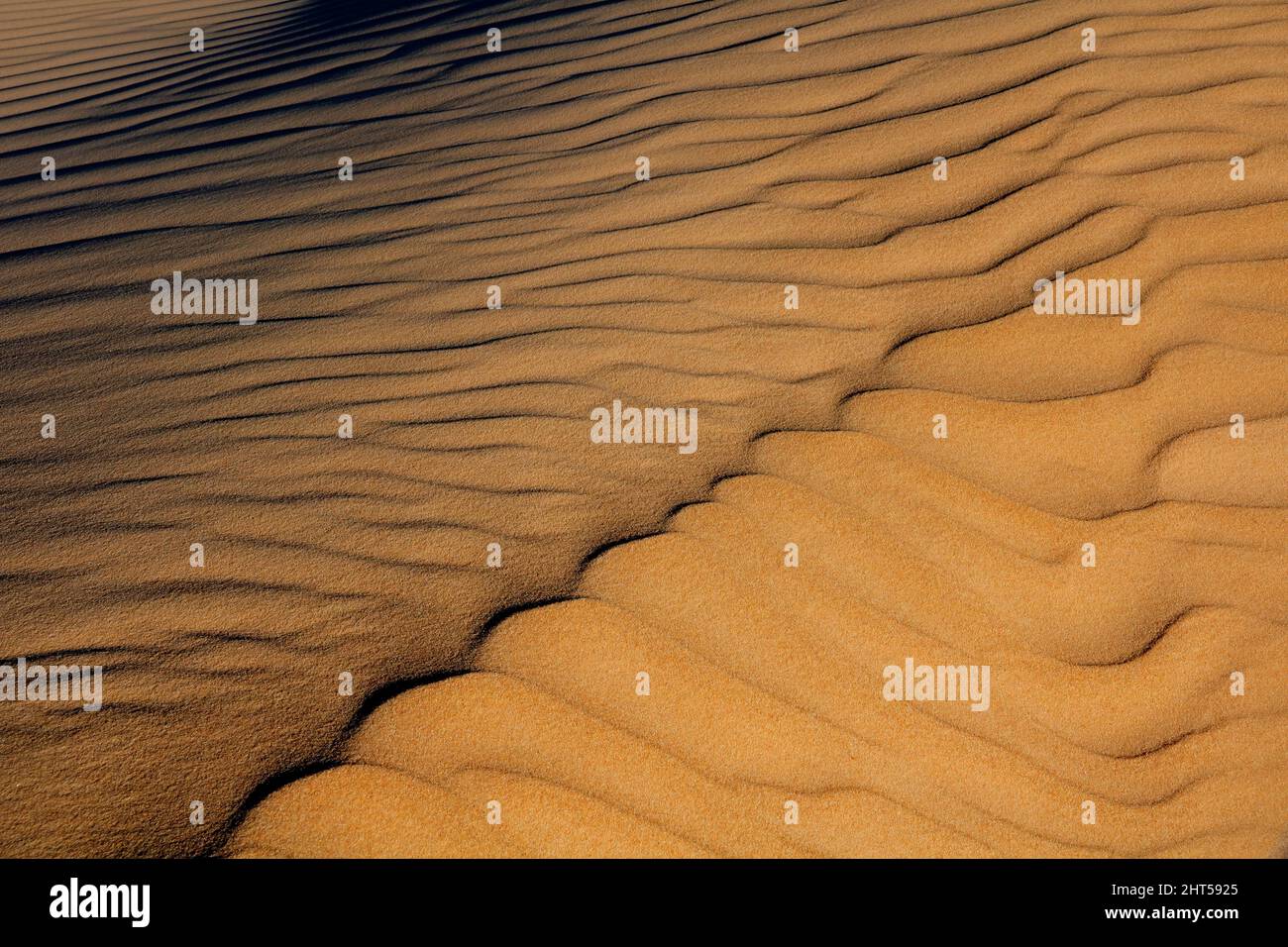 Patterns and textures on a desert sand dune created by the wind, South ...
