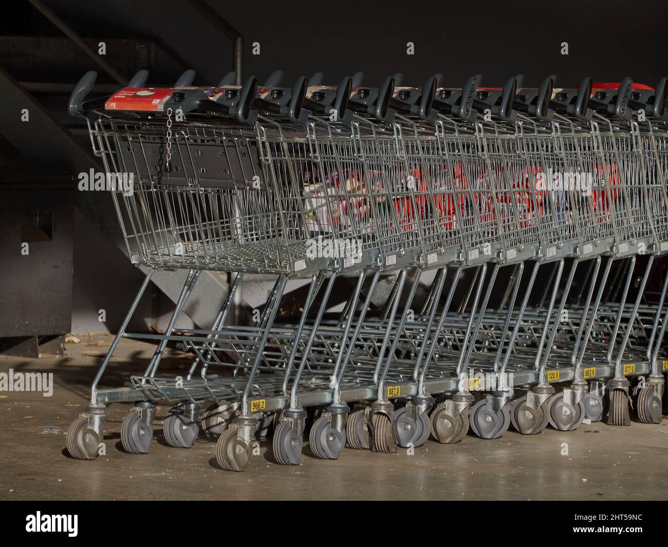 Lot of shopping grocery carts stuck to each other Stock Photo - Alamy