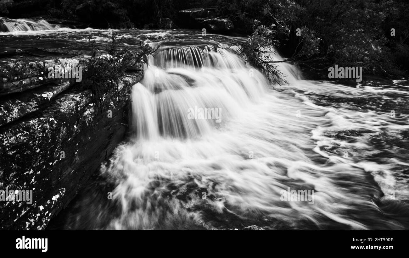 The royal national Black and White Stock Photos & Images - Alamy