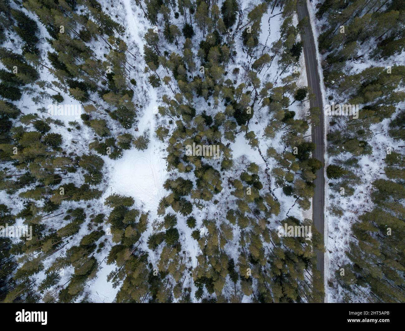 Bird's eye view of a forest and a road during snow Stock Photo - Alamy