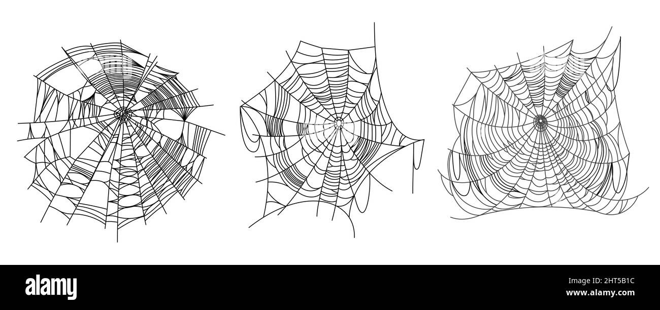 Spider web parts isolated on white background. Scary cobweb outline ...