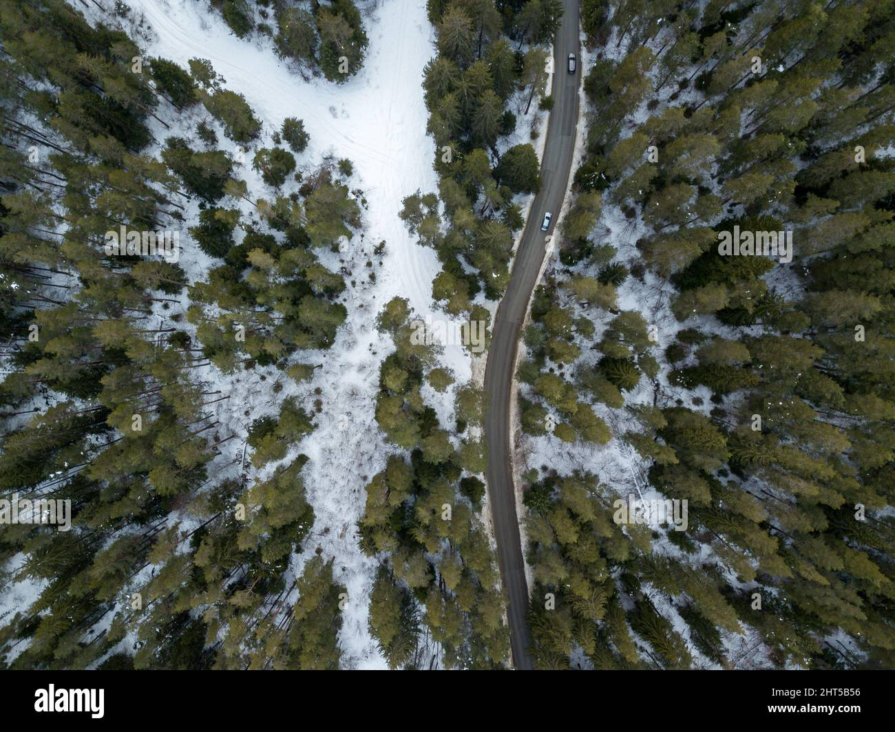 Bird's eye view of a forest and a road during snow Stock Photo - Alamy