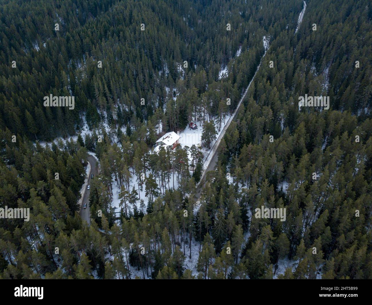 Aerial view of a beautiful winter landscape with trees covered in snow ...