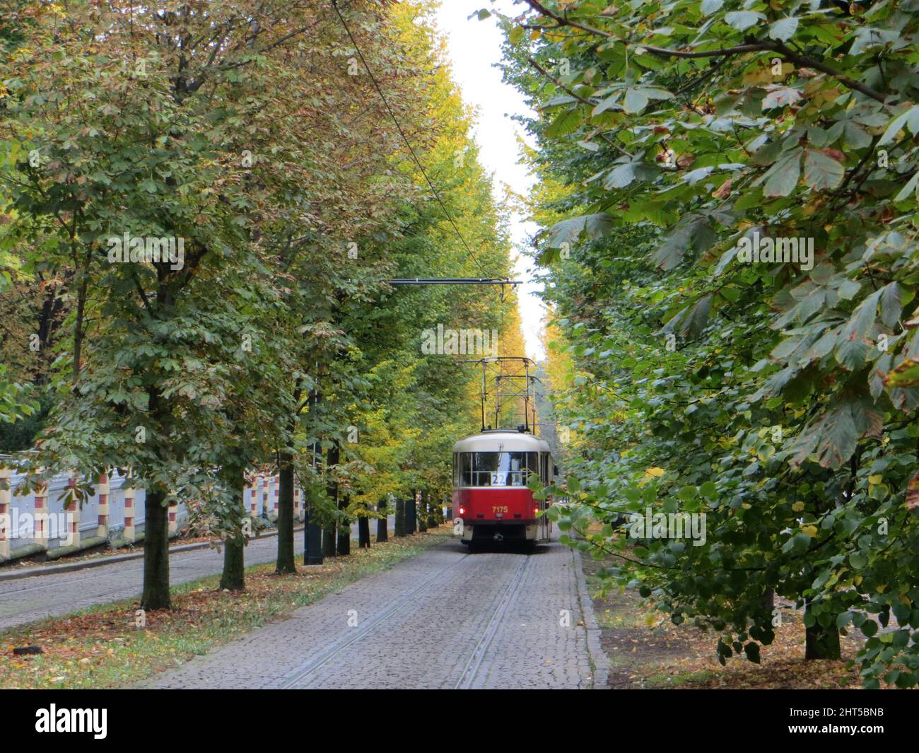 Tram in the autumn forest landscape. Prague tram in a colorful ...